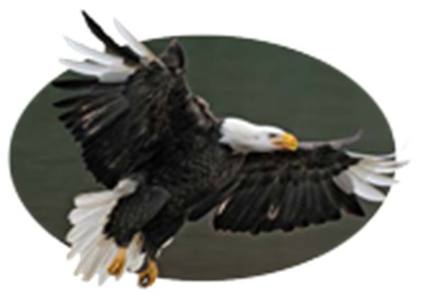 Southern Custom Prints. Schools